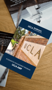 Chief Brand Officer: Role, Responsibilities, and Career Path