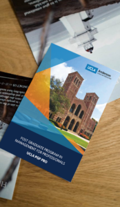 What Does a Director of Technology Do? Key Roles