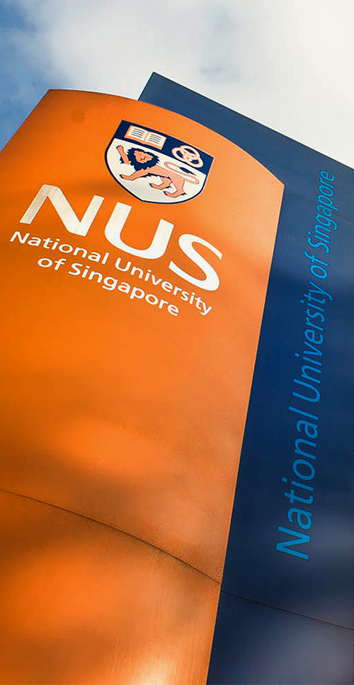 Leadership Roles in Management: Types & Key Functions